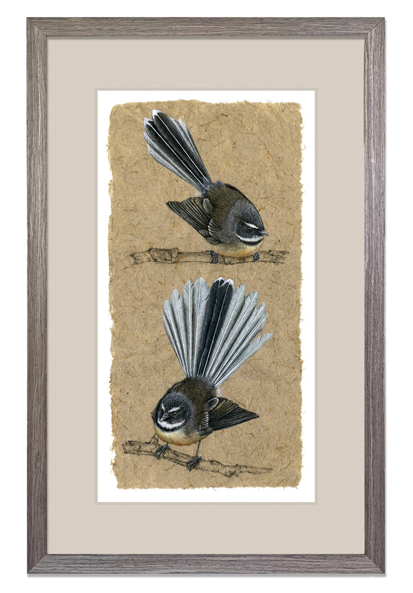 Two Fantails VI - Endemic Gallery
